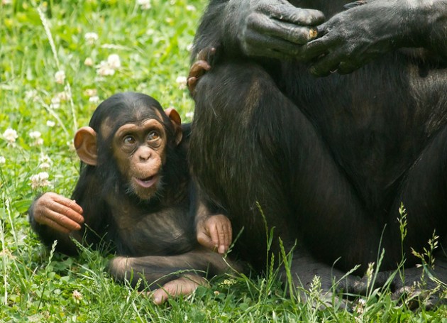 9 facts that will definitely cheer you up · The Daily Edge