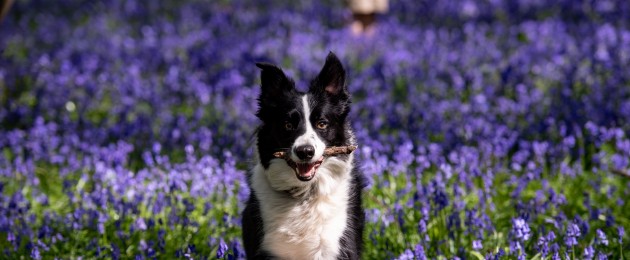 TheJournal.ie - Read, Share and Shape the News